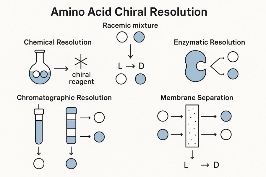 Amino Acid Chiral Resolution Services - BOC Sciences